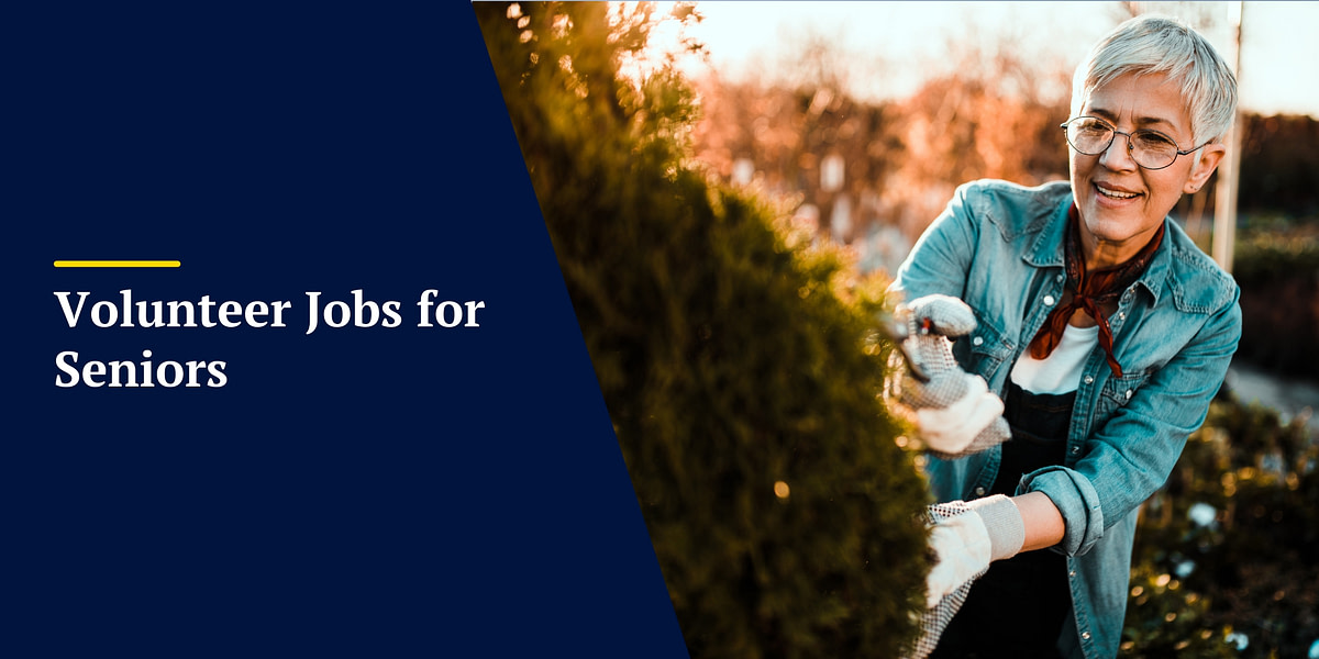 35 Best Jobs for Seniors: Consider Them if You're Over 60