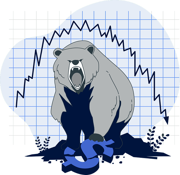 Bear Market Guide: Definition, Causes and How to Invest