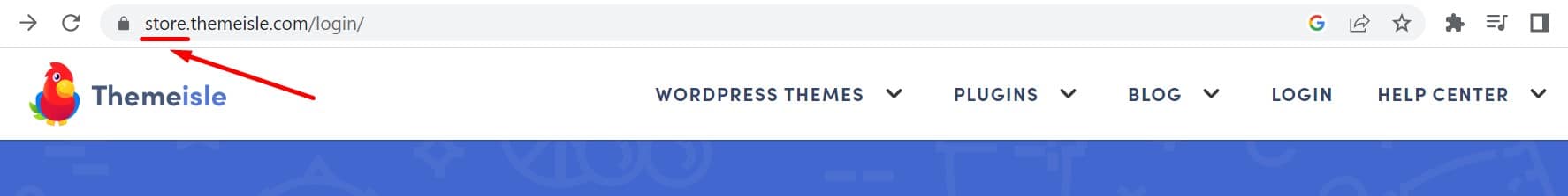 Domain vs Subdomain: What's the Difference?