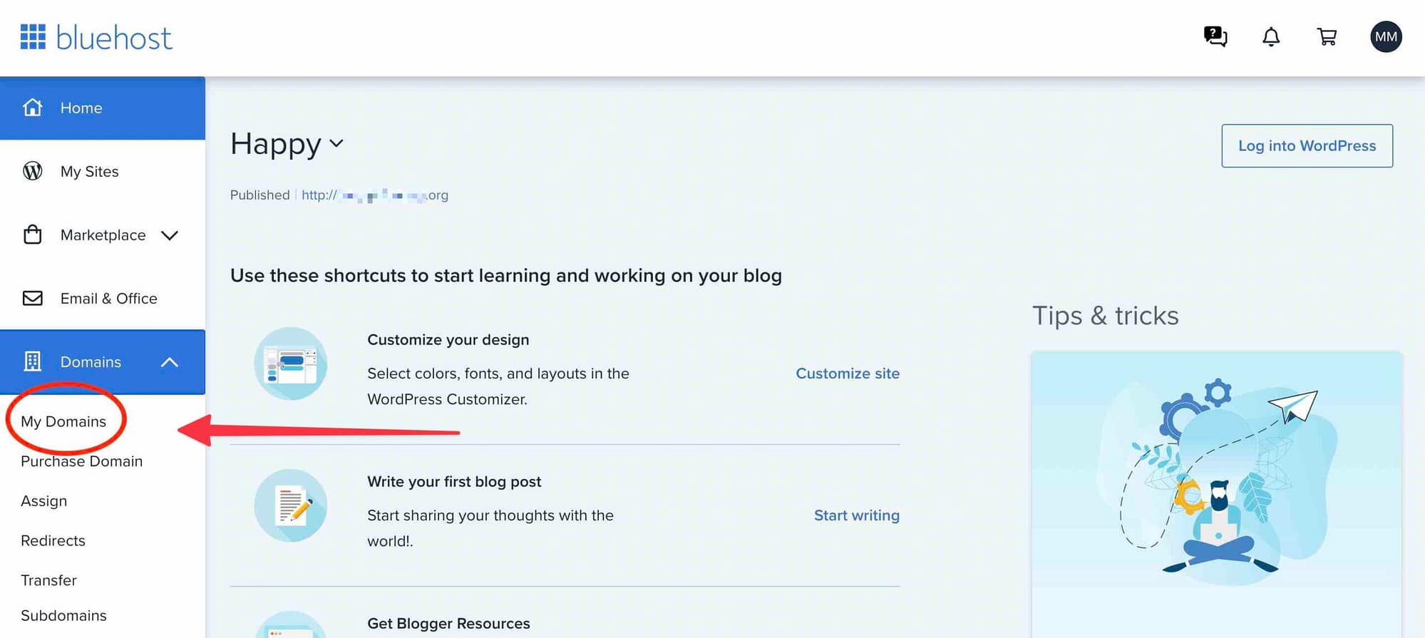 How to Renew a Domain Name and How Much Does It Cost - DomainWheel