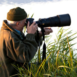 Field guide to action-mapped materials - Training design - Cathy Moore